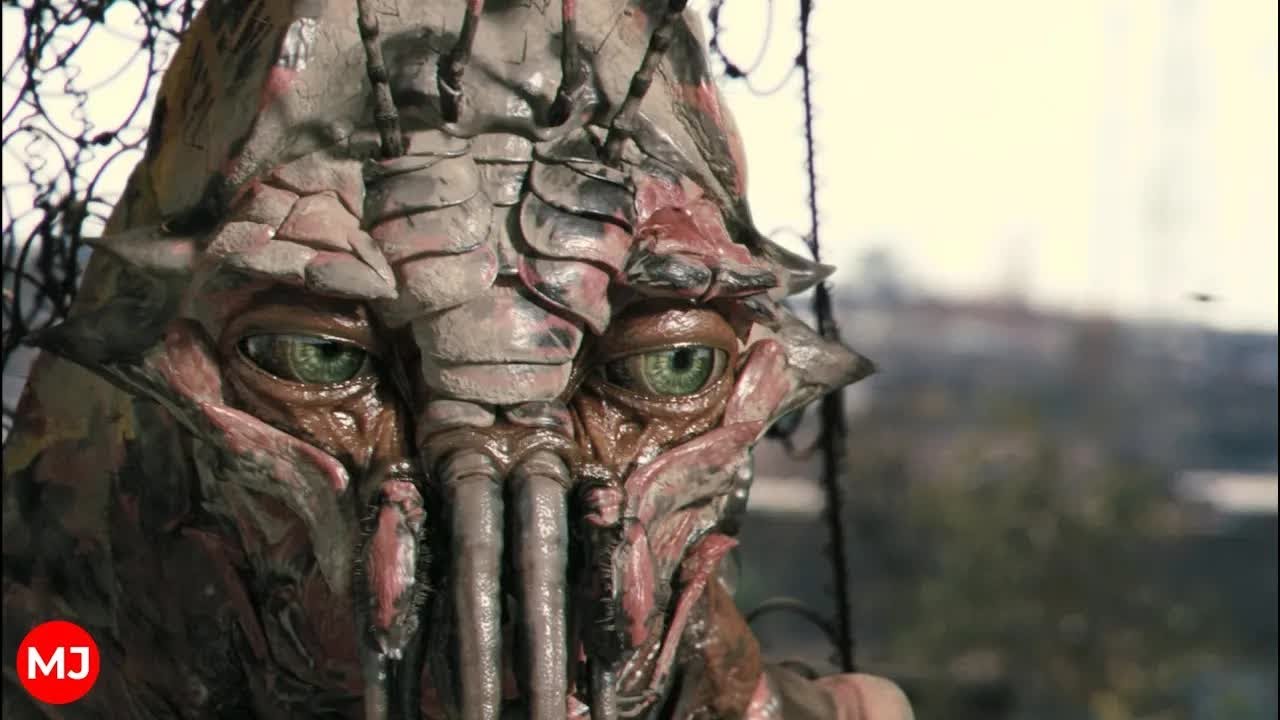 What do like aliens the most, Prawn Eviction Scene - District 9 - YouTube