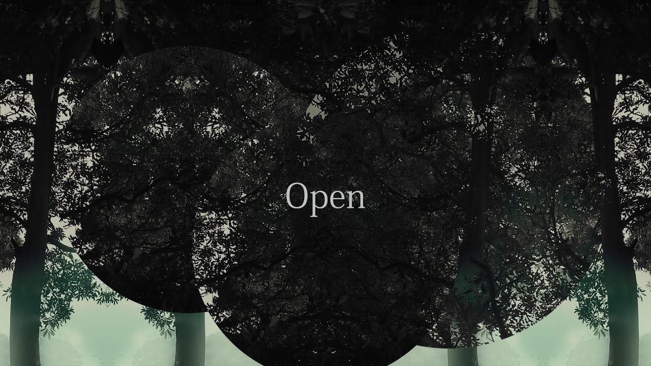 Hassan Iqbal - Open (ft. Areni Agbabian, Linus Klausenitzer, Dirk ...