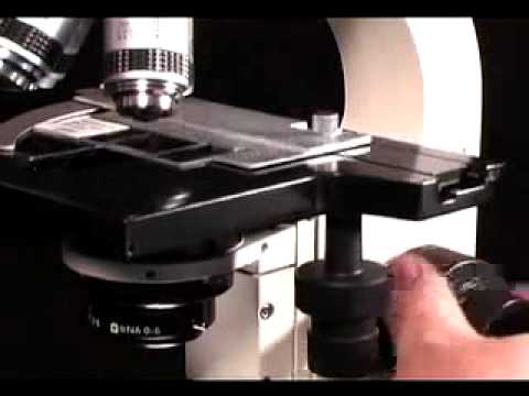 Le microscope - YouTube