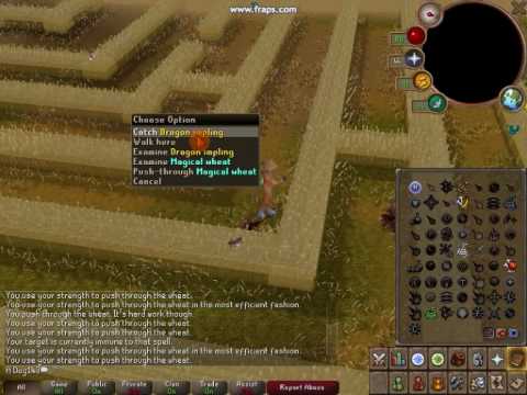 runescape money making guide: puro puro - YouTube