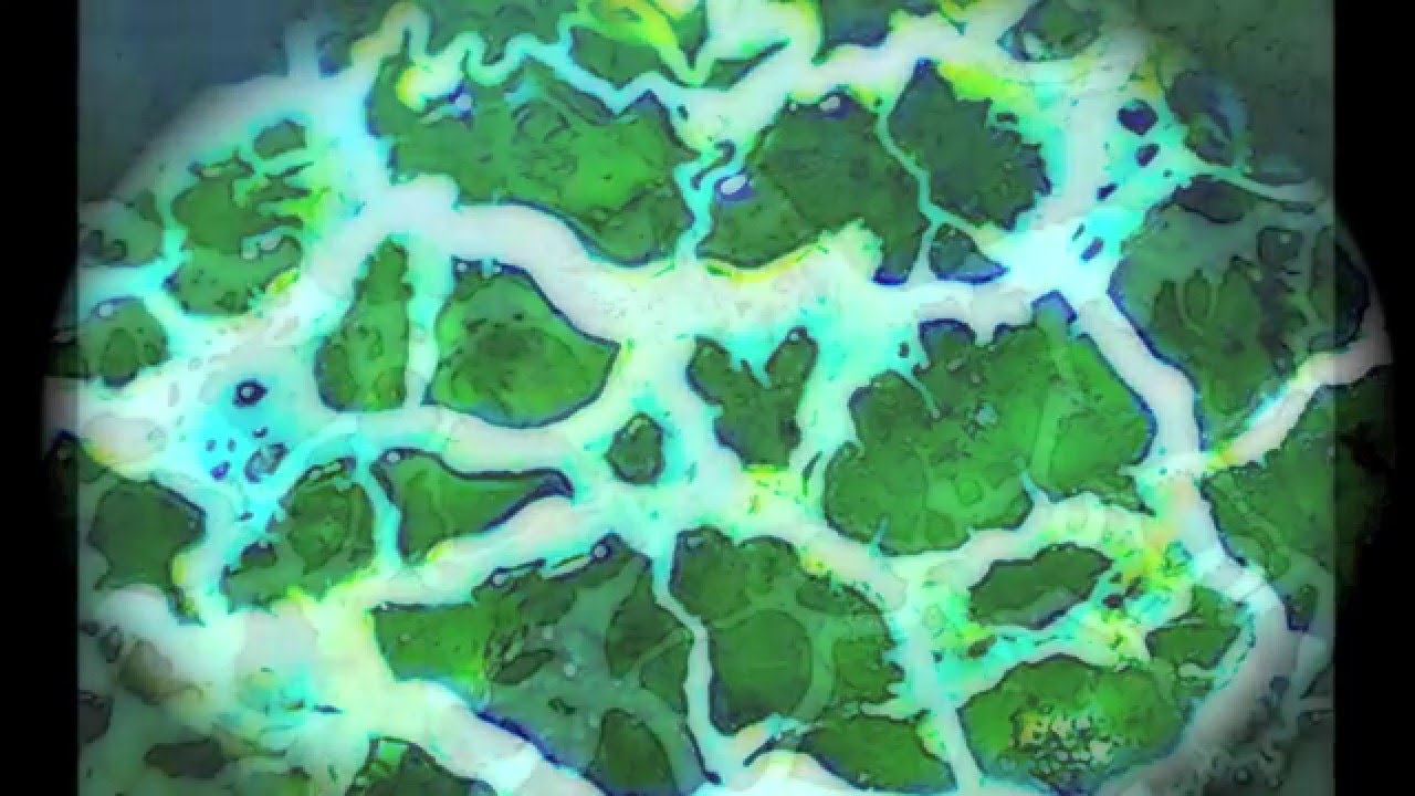 Swamp Ice Fungus Art Beat by Pete Spofford - YouTube