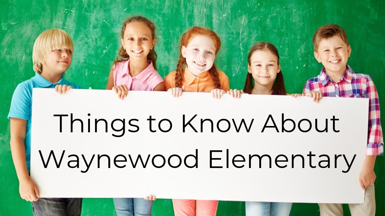 Waynewood Elementary Fairfax County School Review - YouTube