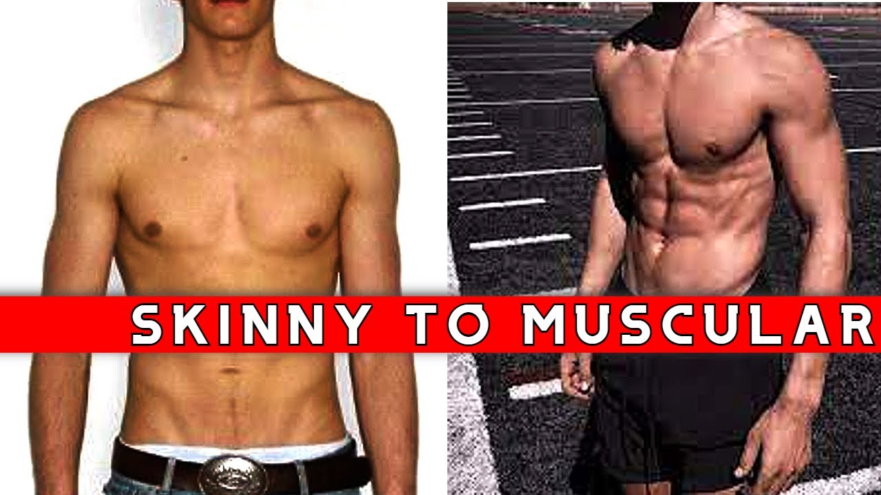 How To Bulk For Maximizing Muscle Growth - YouTube