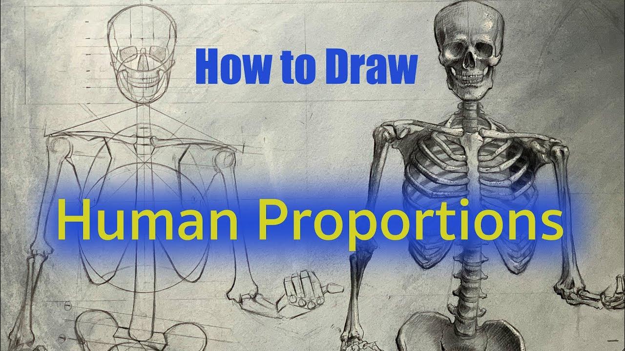 How to Draw People Using Proportions- Step by Step Drawing Instruction ...