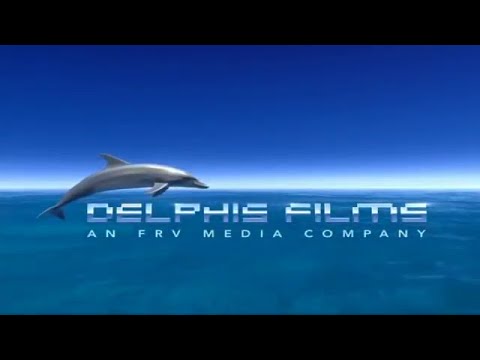 Delphis Films/Warner Bros. Pictures NL/BosBros/Financiación (2005 ...