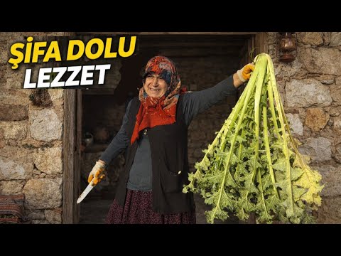 Köyde Toplanan Bu Şifalı Otun Lezzetine İnanamayacaksınız 😍