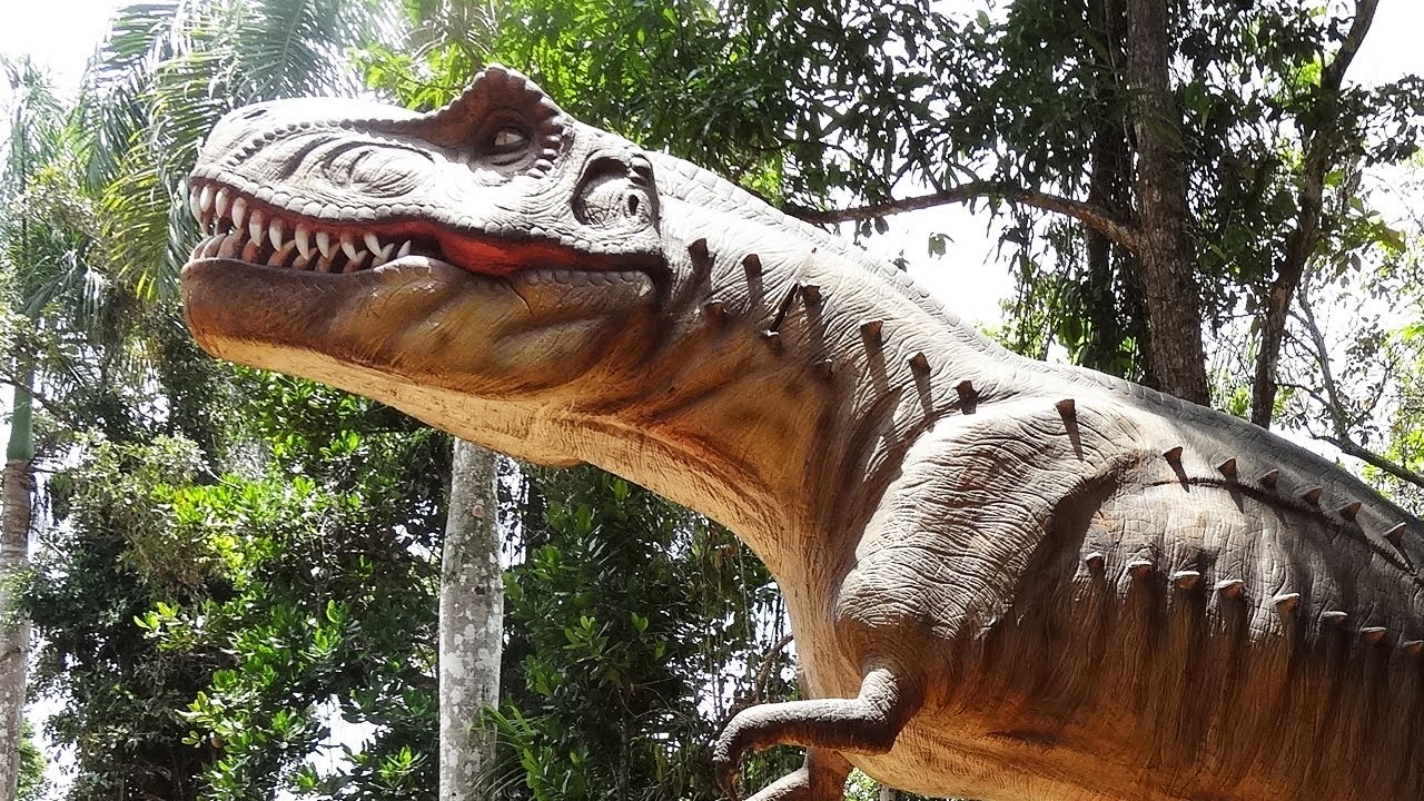 Explorando el Bosque La Marquesa - YouTube