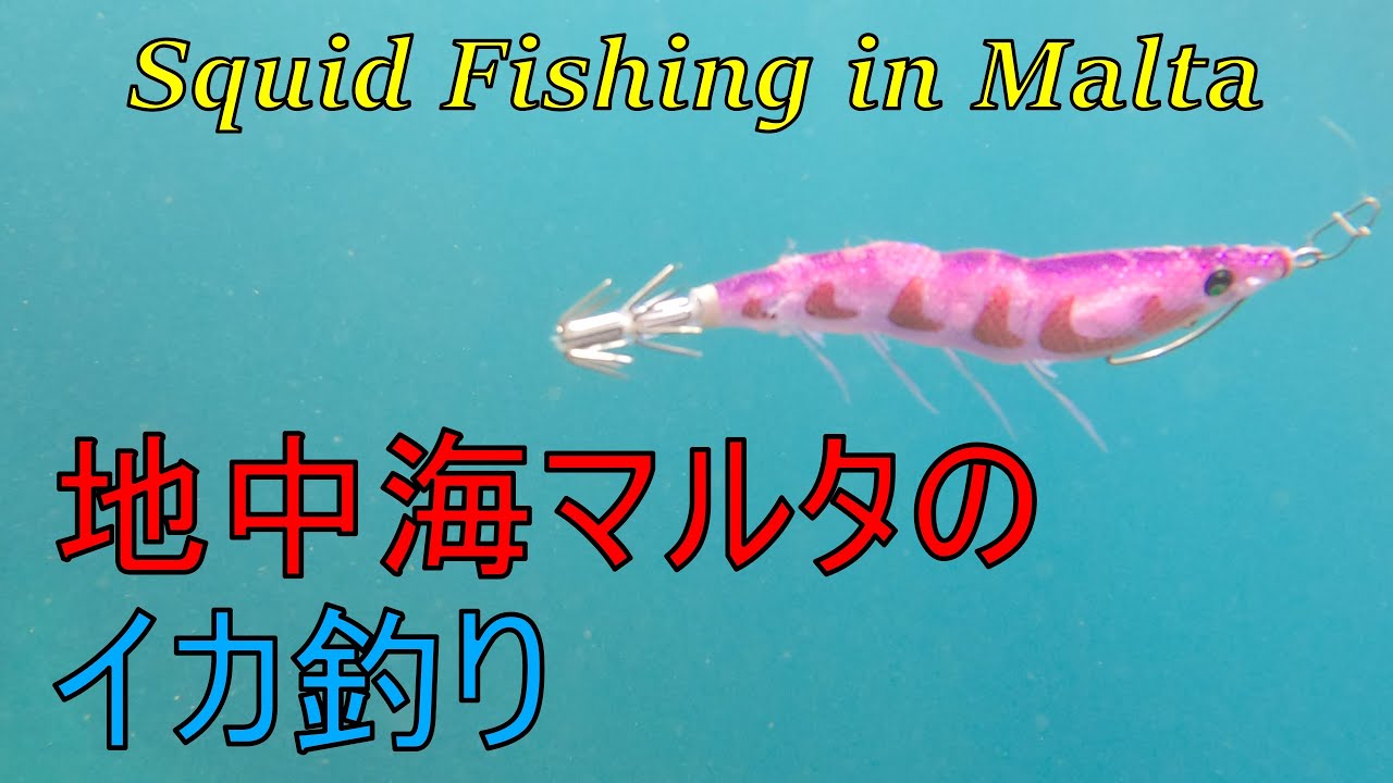 Squid Fishing (Eging / Squid Jigging) - Mediterranean Malta / Sliema ...