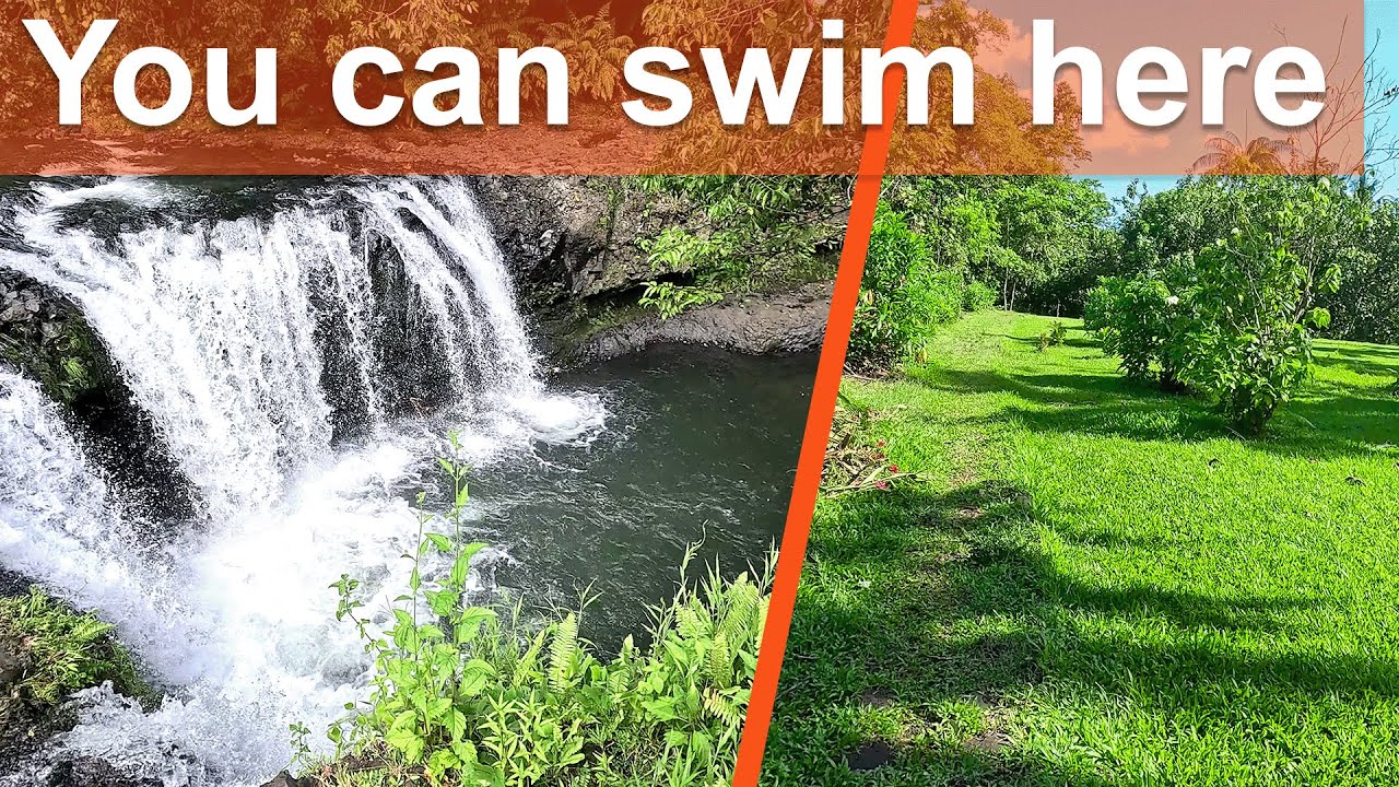 Samoa - Walk/view of Togitogiga waterfall - YouTube