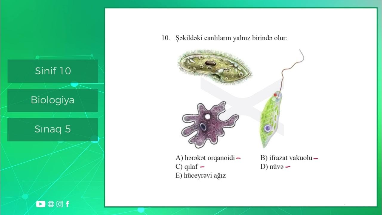 Biologiya 10 cu sinif Güvən Sınaq 5 Qrup fənləri üzrə - YouTube