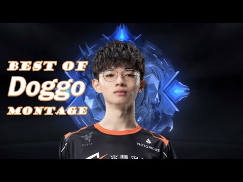 BYG Doggo Montage - World 2021 - YouTube