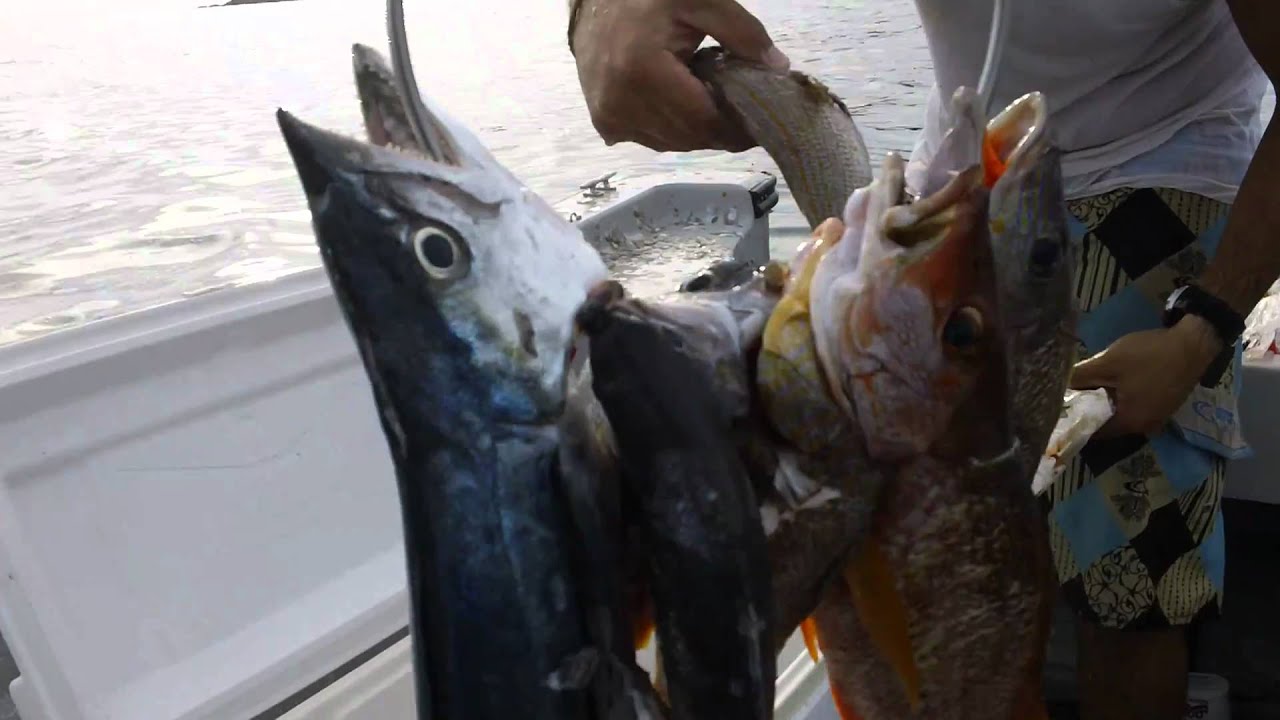 Spearfishing in Culebra, PR - YouTube