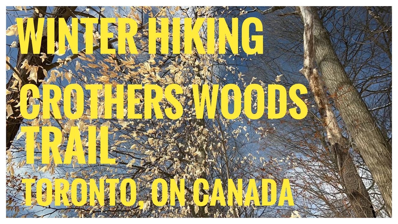 Crothers Woods Trail | Toronto, ON Canada | Hiking - YouTube