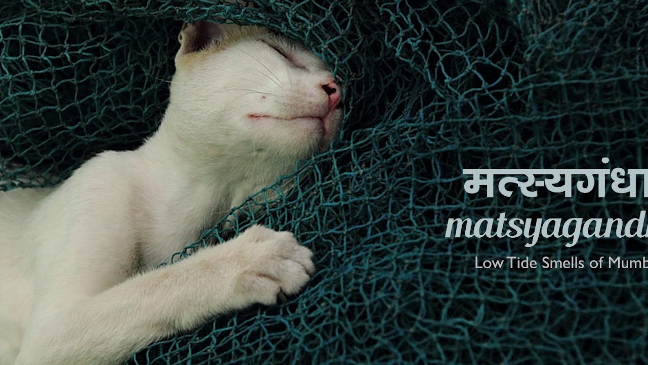 Matsyagandha, the book from Mumbai Paused - YouTube