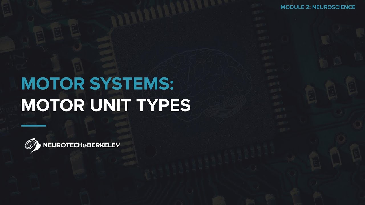 Module 2, Section 4, Lesson 13: Motor Unit Types || UC Berkeley CS 198 ...