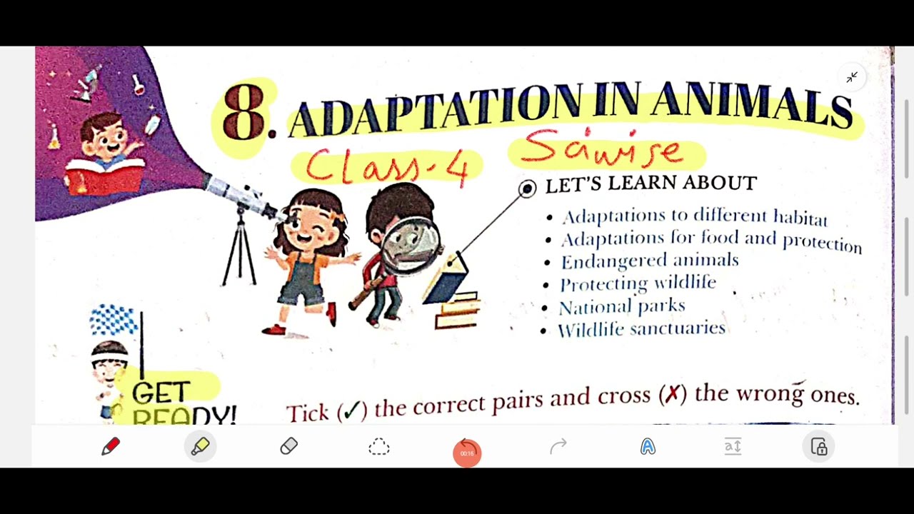 ADAPTATION IN ANIMALS CHAPTER 8 CLASS 4 SCIWISE BOOK EXERCISE - YouTube