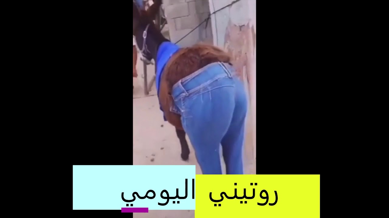 فضيحة روتيني اليومي Youtube