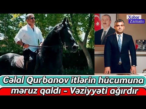 Nəğməkar-şair Cəlal Qurbanov 20-dən çox itin hücumuna məruz qaldı - Vəziyyəti ağırdır
