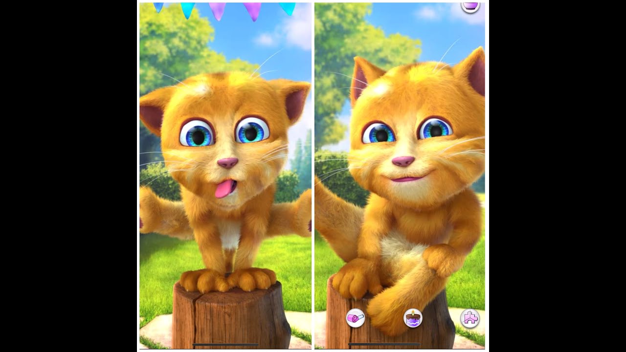 Talking ginger|Talking cat| - YouTube