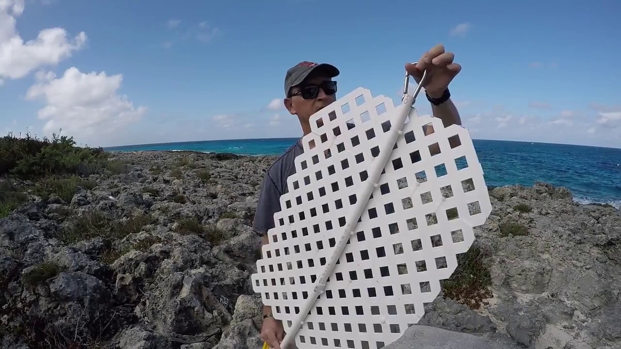 Building Lionfish Purse Trap V6 - YouTube