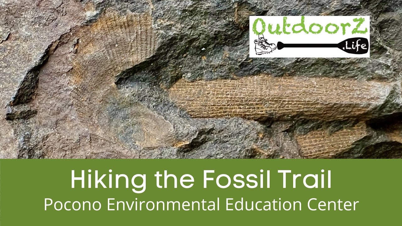 Hiking the Fossil Trail 🥾 Pocono Environmental Education Center - YouTube