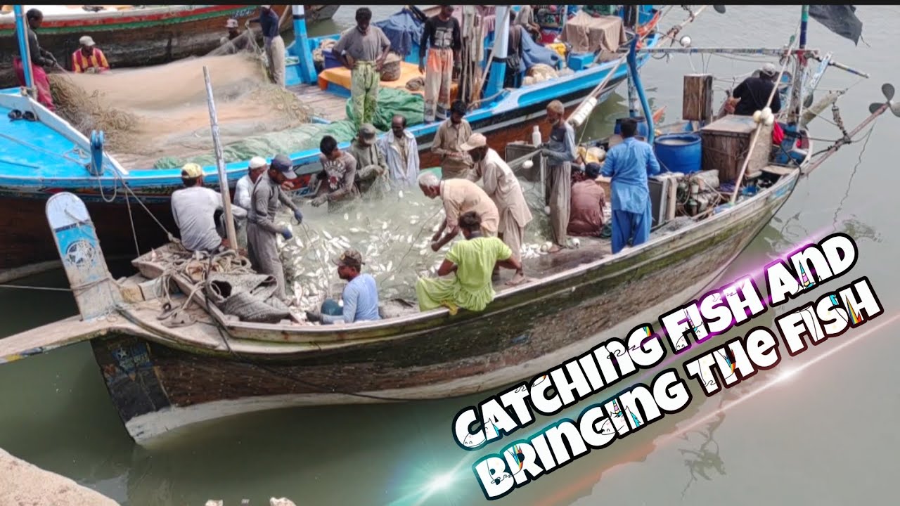 Catching fish and bringing the fish - YouTube