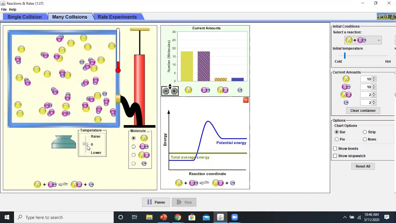 PHET Reaction Rate Walkthrough - YouTube