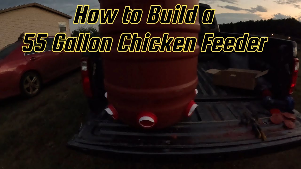 How to Build a 55 Gallon Chicken Feeder - YouTube