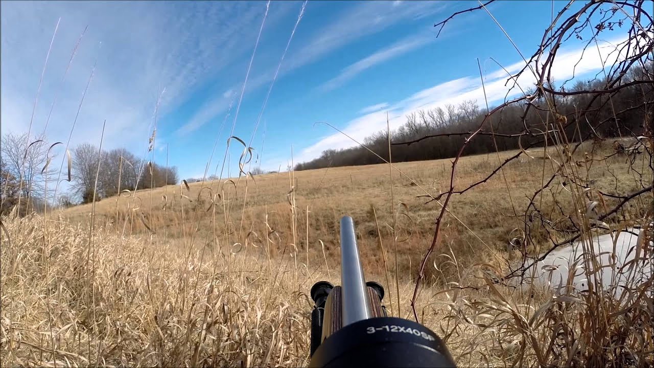 Coyote Hunting with the Primos Alpha Dogg - YouTube