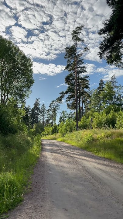 Let the beauty of Sweden's natural wonders fill your soul with ...