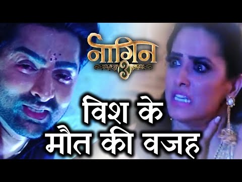 Shocking Reason Behind Vish's End | Anita | Rajat Tokas | Naagin 3 full Episode 20th oct 2018