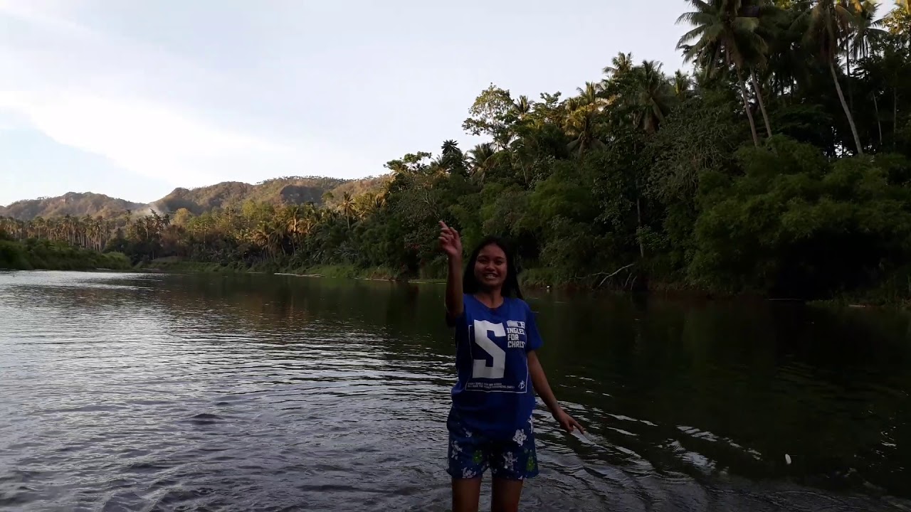 Chikadee/Chikading Song - YouTube