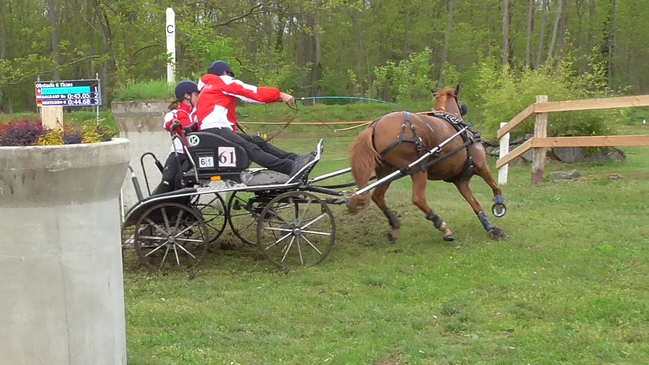 Marathon Hindernis 6 Linus Berther - YouTube