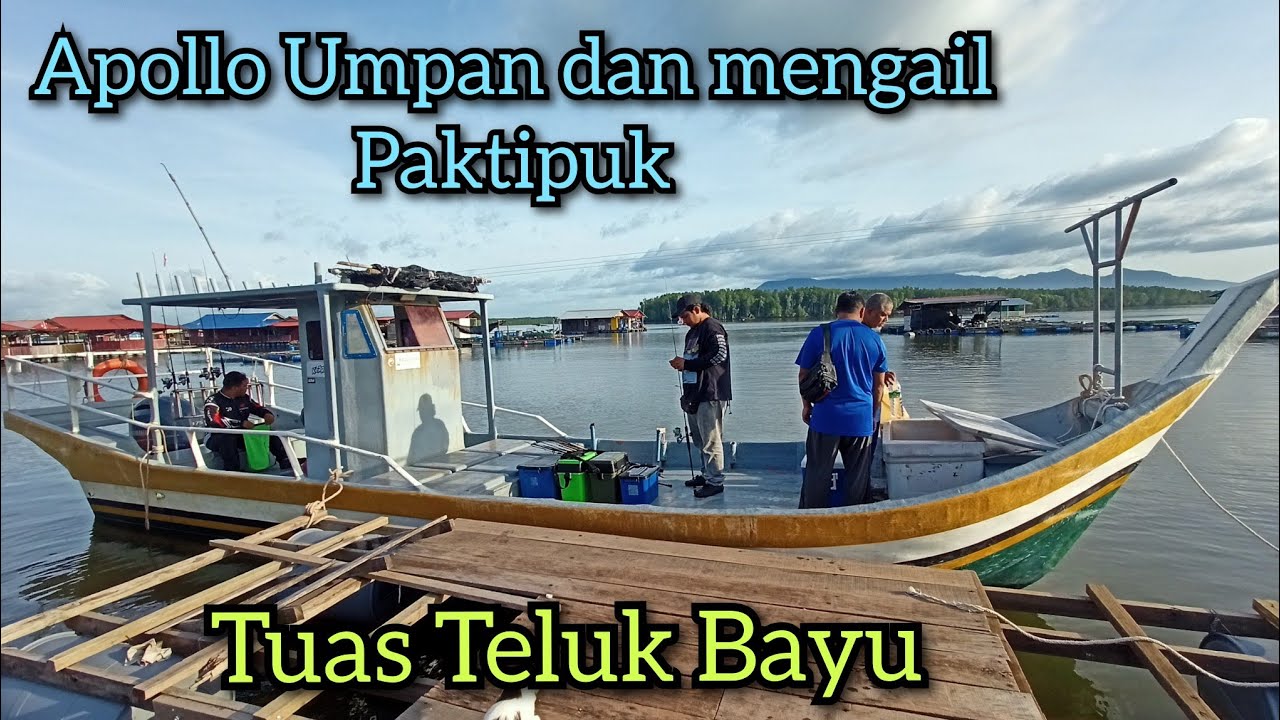 Memancing Ikan Paktipuk dan Apollo umpan hidup Tuas Teluk Bayu Sungai ...
