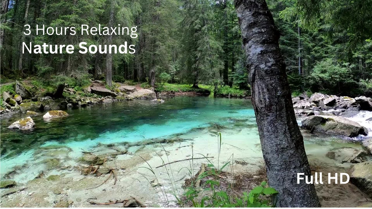 3 Hours of Amazing Nature Scenery, Relaxing bird and water sounds ...