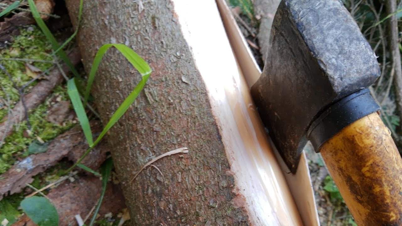 Forest Dwelling Project: Debarking trees (Month 4) - YouTube
