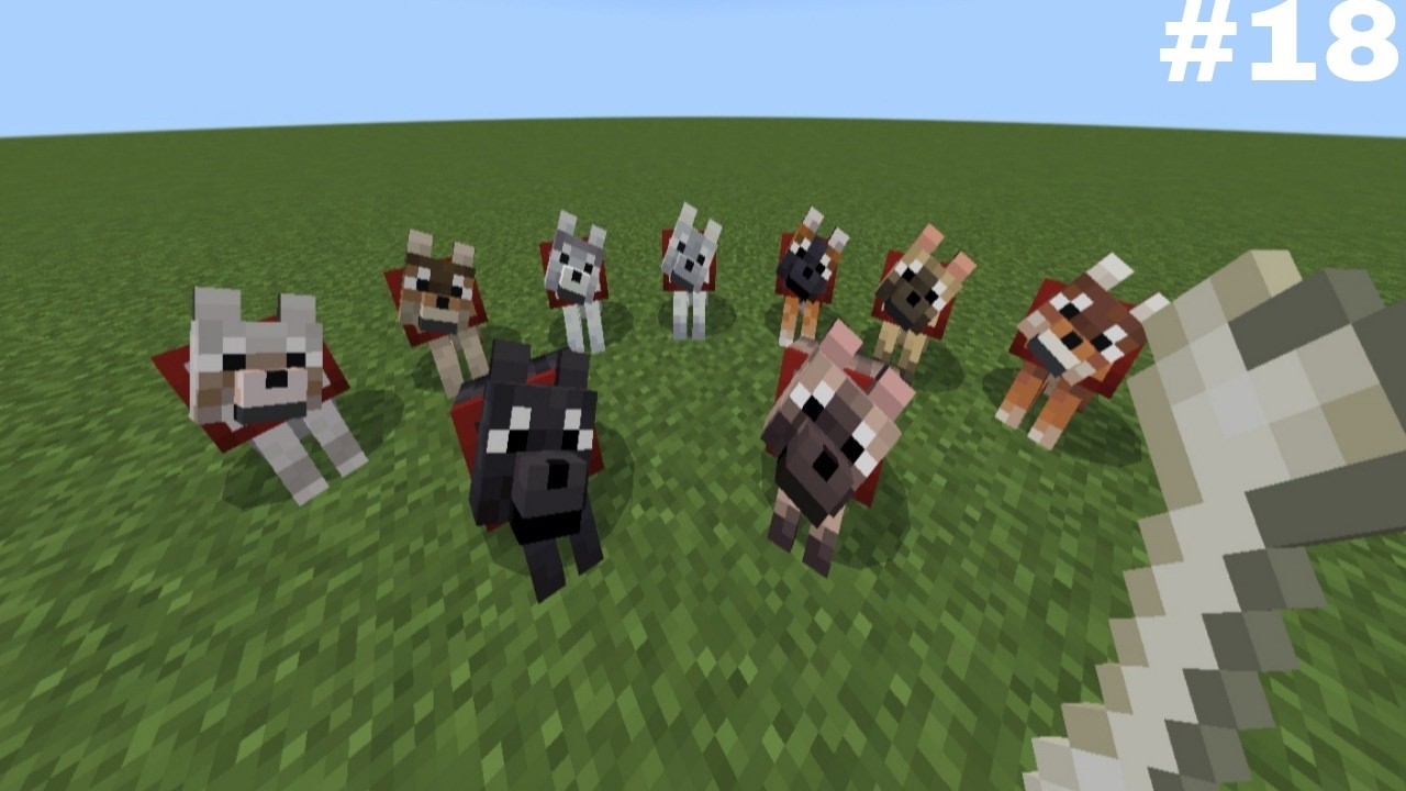 I collected EVERY NEW WOLF variant in minecraft|Minecraft Survival #18 ...