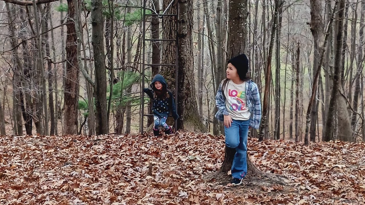 Hiking by the woods/last fall before winter /with our buddies' dog and ...