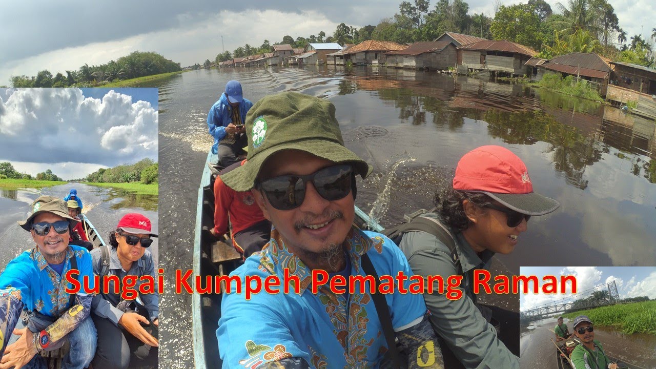 susur sungai kumpeh Pematang raman Jambi - YouTube