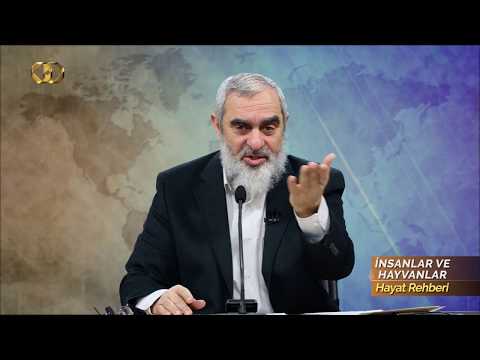HAYVANLAR SİZİN EĞLENCENİZ DEĞİL! & NUREDDİN YILDIZ