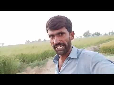 munji ko aakhri Pani Laga Diya Rani gandam ki Rani - YouTube