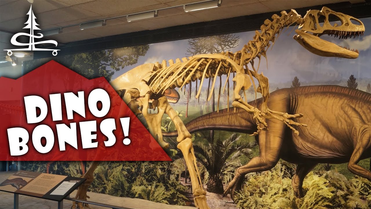 Exploring Dinosaur National Monument - Dino Bones, Box Canyons and ...