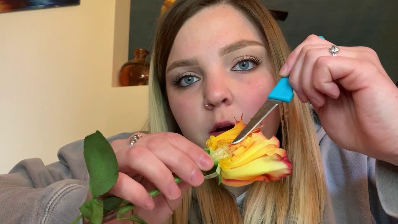 How To Dissect A Flower YouTube how-to-dissect-a-flower-youtube