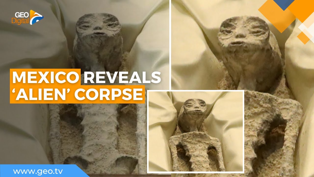 DarkNews: We be dead aliens bro