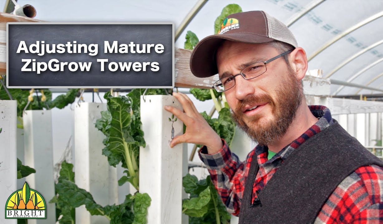 Adjusting Mature ZipGrow™ Towers for Optimum Growth - YouTube