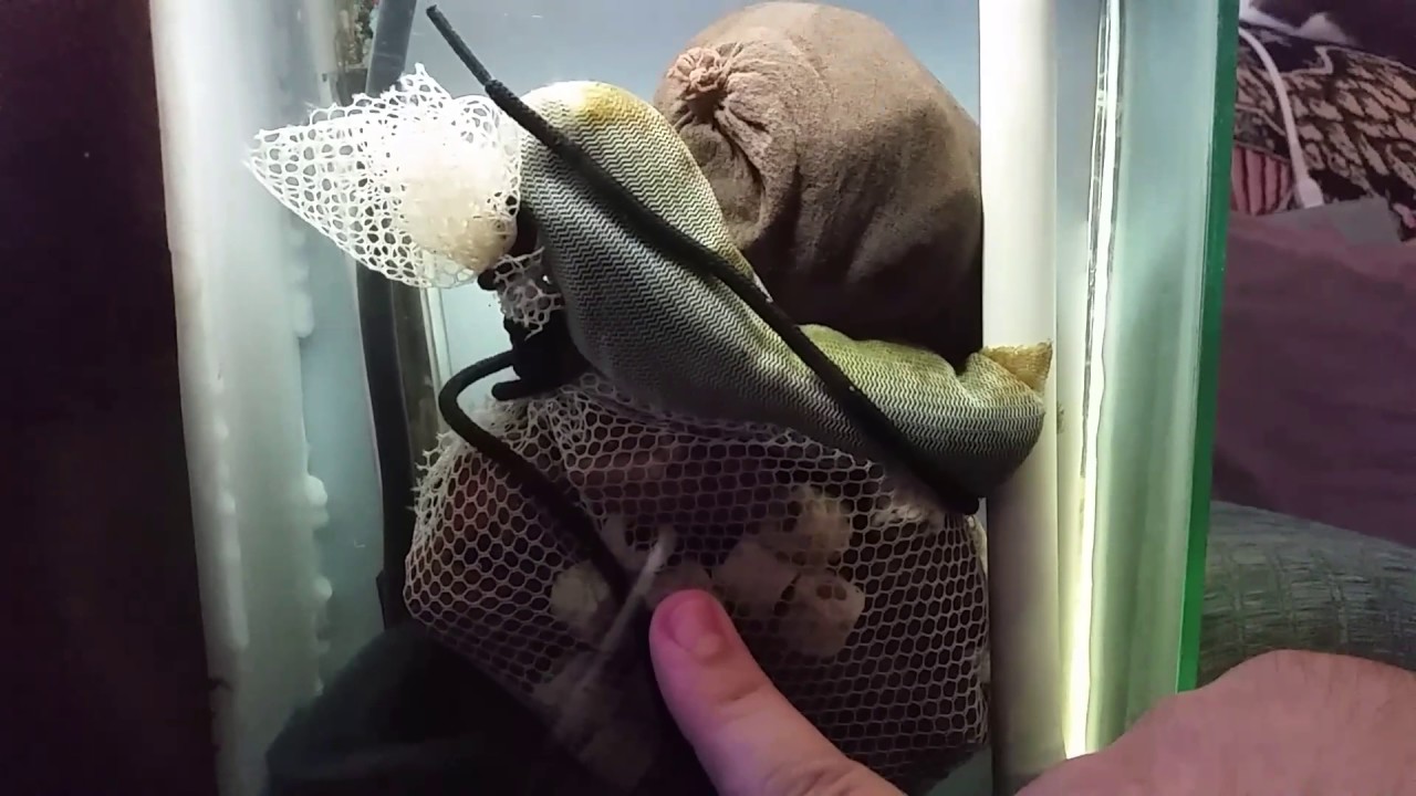 Internal sump filter pt 2. Finished and and running - YouTube