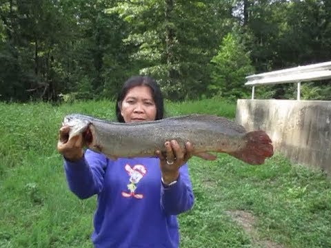Ep. 250- Finally Had a Successful Bowfin Trip (Her Personal Best Bowfin ...