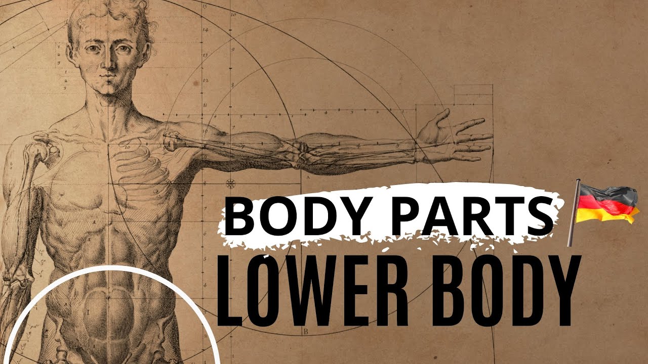 German body parts "LOWER BODY - Körperteile Deutsch "Unterkörper" - YouTube