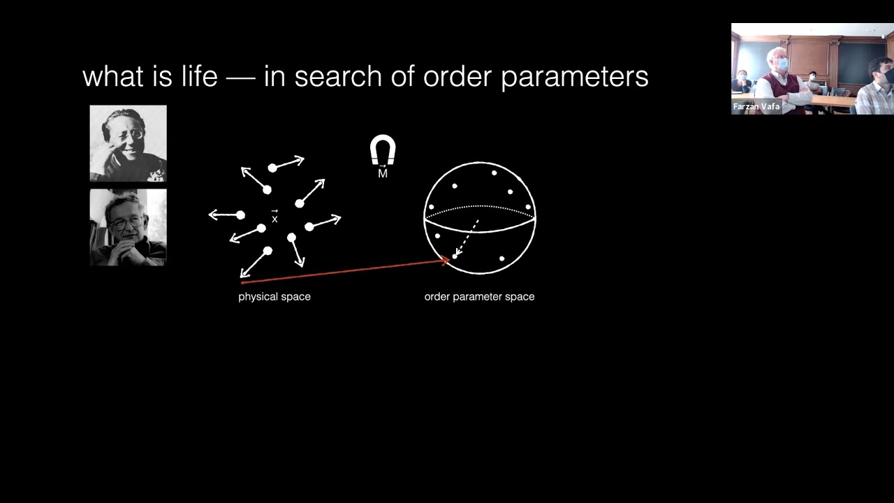 Nikta Fakhri | Nonreciprocal matter: living chiral crystals - YouTube