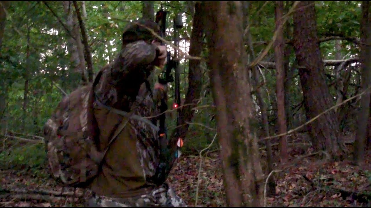 2017 Public Land PA Buck | Shot From The Ground - YouTube